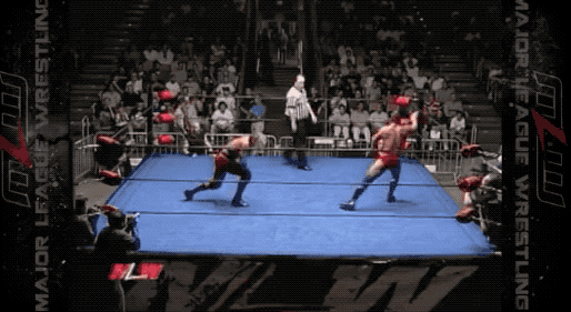 Kid Romeo Casadora Bulldog