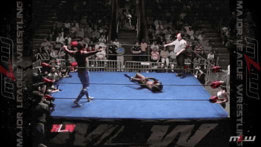 Suzuki Shining Wizard