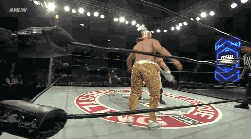 Octagon Package Piledriver